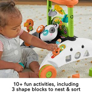 Fisher-Price Baby & Toddler Toy 2-Sided Steady Speed Panda Walker With Smart Stages Learning & Blocks For Ages 6+ Months