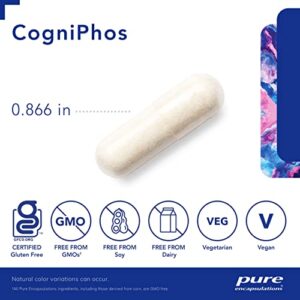 Pure Encapsulations CogniPhos | Neuronal Support for Cognitive Performance and Behavior | 120 Capsules