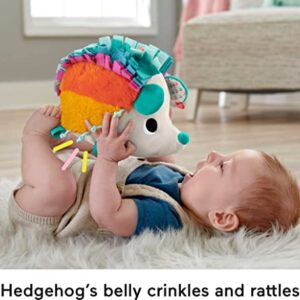 Fisher-Price Newborn Toy Cuddle ‘N Snuggle Hedgehog Plush with Sounds and Textures for Infant Sensory Play Ages 3+ Months