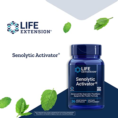 Life Extension Senolytic Activator - with Quercetin, Fisetin - For Immune Support, Anti-Aging & Longevity - Supports Systemic Rejuvenation - Non-GMO, Gluten-Free - 36 Vegetarian Capsules