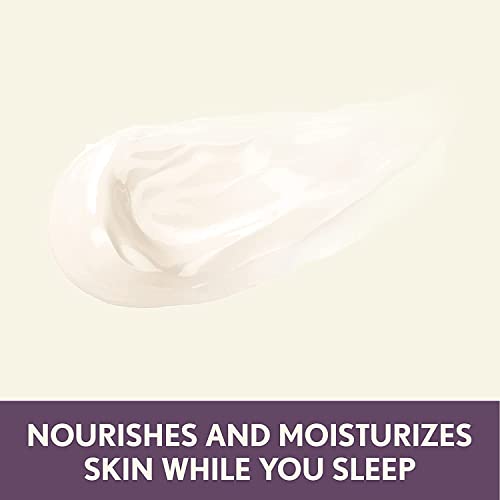 Aveeno Absolutely Ageless Restorative Night Cream Facial Moisturizer with Antioxidant-Rich Blackberry Complex, Vitamin C & E, Hypoallergenic, Non-Greasy & Non-Comedogenic, 1.7 fl. oz (Pack of 2)