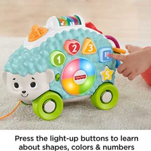 Fisher-Price Linkimals Learning Toy Happy Shapes Hedgehog Pull Along With Interactive Music And Lights For Baby And Toddler