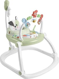 fisher-price baby bouncer spacesaver jumperoo activity center with lights sounds and folding frame, puppy perfection