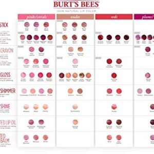 Burt's Bees Lip Gloss Easter Basket Stuffers, Lip Shine for Women, 100% Natural Makeup, Pucker