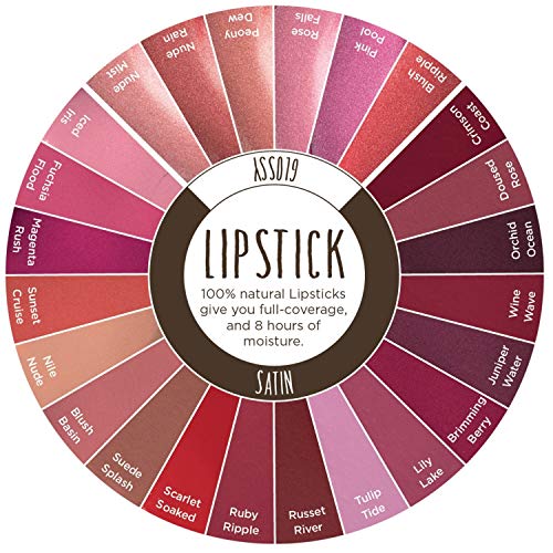 Burts Bees 100% Natural Glossy Lipstick, Pink Pool - 1 Tube