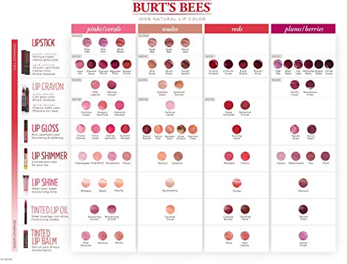 Burts Bees 100% Natural Glossy Lipstick, Pink Pool - 1 Tube