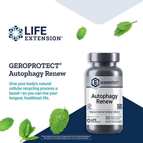 Life Extension GeoProtect Autophagy Renew – Encourages Cellular Housekeeping & Longevity – Vegetarian, Gluten-Free, Non-GMO – 30 Vegetarian Capsules