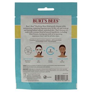 Burt's Bees Purifying Sheet Mask With Kiwi Extract Mask, 0.33 Ounce