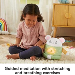 Fisher-Price Toddler Toy Meditation Mouse Plush Sound Machine With Music And Light For Preschool Kids Ages 2 To 5 Years Old