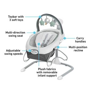 Graco Soothe 'n Sway LX Baby Swing with Portable Bouncer, Derby