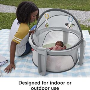 Fisher-Price Portable Bassinet And Play Space On-The-Go Baby Dome With 2 Toys And Canopy, Puppy Perfection