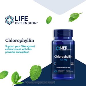 Life Extension Chlorophyllin 100mg – Powerful Antioxidant Supplement Pill for DNA, Liver Health and Detox – Non-GMO, Gluten-Free, Vegetarian - 100 Capsules