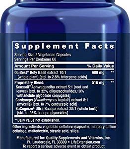 Life Extension Adrenal Energy Formula, 120 Vegetarian Capsules