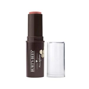 burts bees peach pond all aglow lip & cheek stick, 0.32 oz