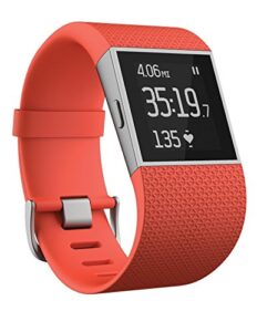 fitbit surge, tangerine, large