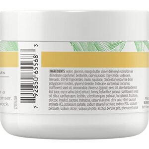 Burt's Bees Hydrating Moisturizing Cream for Sensitive Skin with Aloe & Rice Milk, Natural Origin Formula for Face & Body, 3 oz