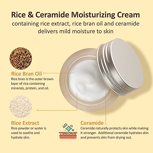 The Face Shop Rice Ceramide Moisturizing Cream | Rich Moisturizer for Long-lasting Smooth Absorbtion without Stickiness | Natural Moisturizer For Whitening & Skin Glowing, 1.69 fl oz, K-Beauty