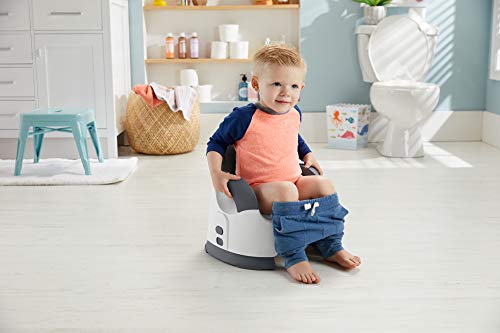 Fisher Price Custom Comfort Potty