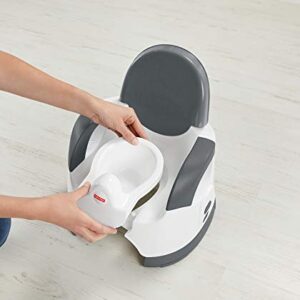 Fisher Price Custom Comfort Potty