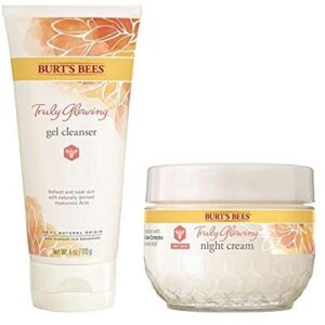 Burt's Bees Truly Glowing Moisture Bundle - Face Cleanser 6 Ounces and Night Face Cream 1.8 Ounces