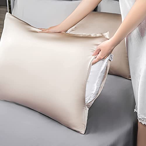 Mulberry Silk Pillowcase for Hair and Skin,Standard Size Cooling Silk Pillow Case with Hidden Zipper,Allergen Proof Dual Sides Soft Breathable Smooth Silk Pillow Cover for Women