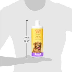 Burt's Bees for Dogs Natural Calming Dog Shampoo | Soothes, Calms & Revitalizes Dog's Coats | Dog Shampoos Made with Lavender and Green Tea | pH Balanced for Puppies - Made in USA, 32 Oz