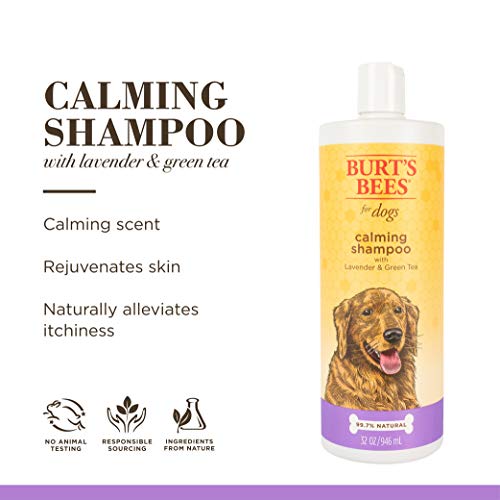 Burt's Bees for Dogs Natural Calming Dog Shampoo | Soothes, Calms & Revitalizes Dog's Coats | Dog Shampoos Made with Lavender and Green Tea | pH Balanced for Puppies - Made in USA, 32 Oz