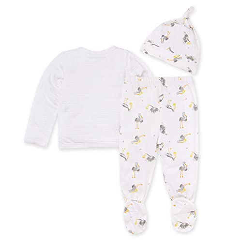 Burt's Bees Baby Unisex Baby Take Me Home Set, 3-piece Top, Pant, and Hat Bundle, 100% Organic Cotton Layette Set, Special Delivery, 9 Months US