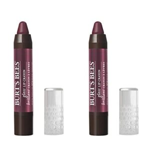 burt’s bees 100% natural moisturizing gloss lip crayon, bordeaux vines – 1 crayon (pack of 2)