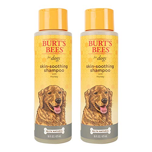 Burt's Bees for Dogs Natural Skin Soothing Shampoo with Honey | Dog Shampoo for All Dogs and Puppies | Safe for Dogs with Dry, Sensitive Skin | pH Balanced for Dogs - Made in USA, 16 Ounces - 2 Pack