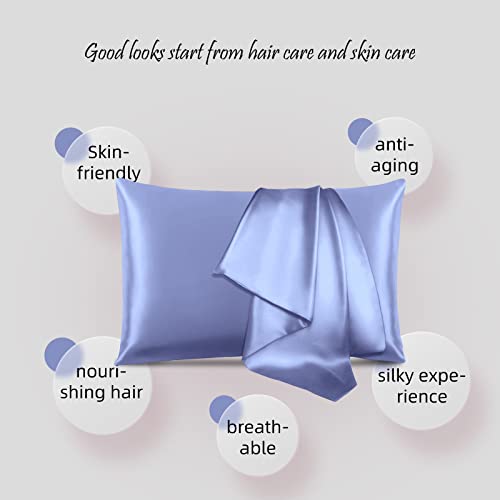 Silk Pillowcase for Hair and Skin Mulberry Silk Pillowcase Soft Breathable Smooth Both Sided Natural Silk Pillowcase with Zipper Beauty Sleep Silk Pillow Case 1 Pc for Gift (Standard, Cornflower Blue)