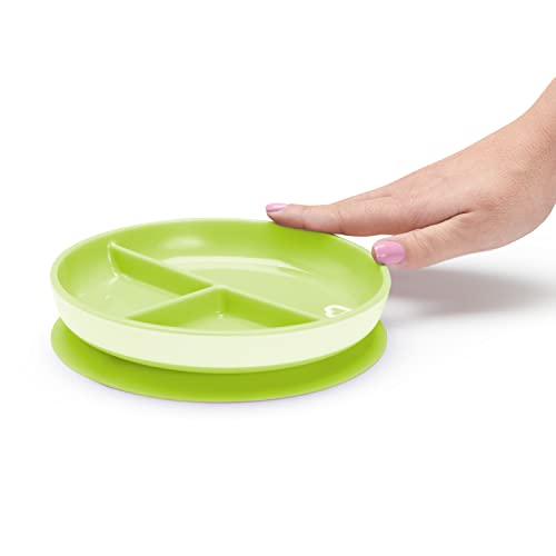 Munchkin Stay Put Divided Suction Plates, Blue/Green