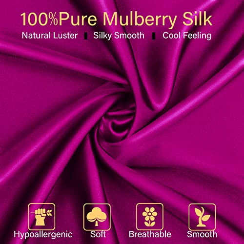 Smbeope 100% Mulberry Silk Pillowcase 2 Pack for Hair and Skin,with Hidden Zipper,Both Sides 22 Momme Natural Silk Pillow Cover,Soft Breathable & Smooth (Wine Red, Standard)