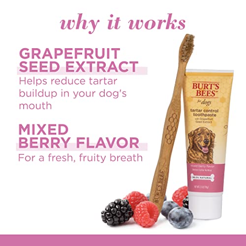 Burt's Bees for Dogs Tartar Control Toothpaste for Dogs with Grapefruit Seed Extract & Dog Toothbrush | 99.5% Natural Dog Toothpaste for Tartar Control in Mixed Berry & Bamboo Dog Toothbrush