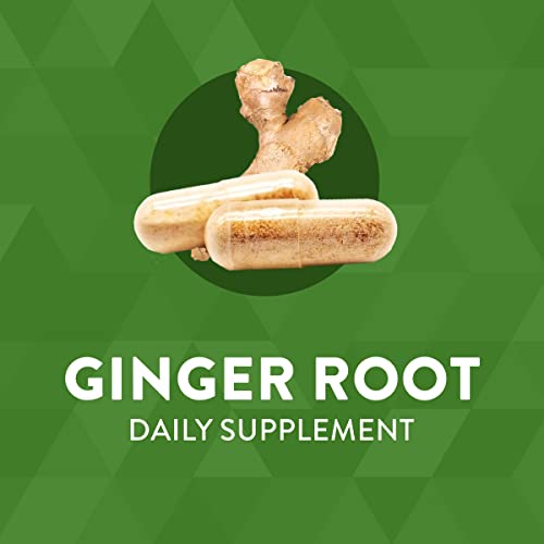 Nature's Way Ginger Root, Traditional Digestive Support*, 1110 mg Per Serving, Non-GMO Project Verified, 240 Capsules