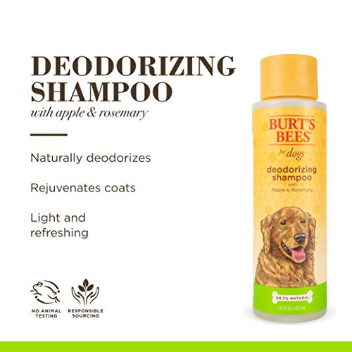 Burt's Bees for Dogs Deodorizing Dog Shampoo with Apple & Rosemary |Dog Shampoo Combats Odors | Cruelty Free, Sulfate & Paraben Free, pH Balanced for Dogs - Made in USA, 16 oz - 2 Pack