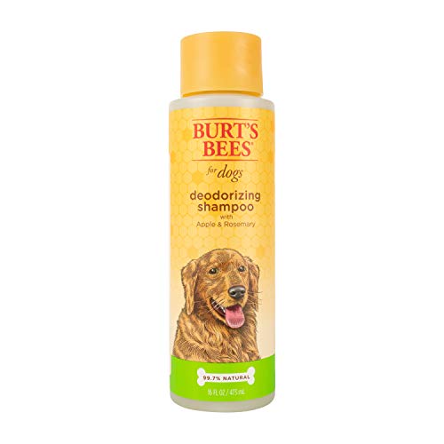 Burt's Bees for Dogs Deodorizing Dog Shampoo with Apple & Rosemary |Dog Shampoo Combats Odors | Cruelty Free, Sulfate & Paraben Free, pH Balanced for Dogs - Made in USA, 16 oz - 2 Pack