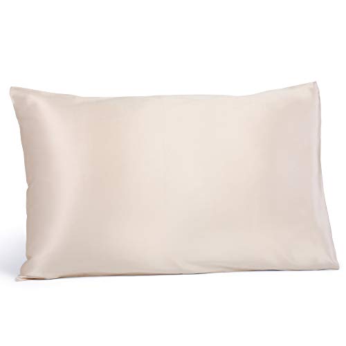 Fishers Finery 25mm 100% Pure Mulberry Silk Pillowcase, Good Housekeeping Winner (Taupe, Standard)