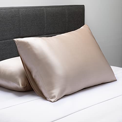 Fishers Finery 25mm 100% Pure Mulberry Silk Pillowcase, Good Housekeeping Winner (Taupe, Standard)