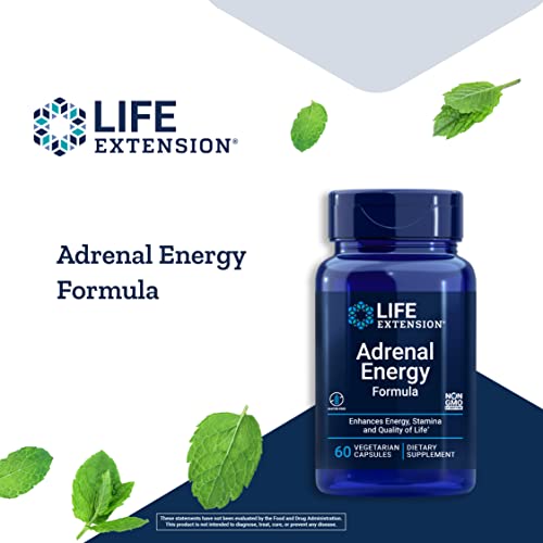 Life Extension Adrenal Energy Formula - Stress Management Supplements with Ashwagandha, Cordyceps, Holy Basil & Bacopa for Homeostasis Support – Gluten-Free, Non-GMO, Vegetarian – 60 Capsules