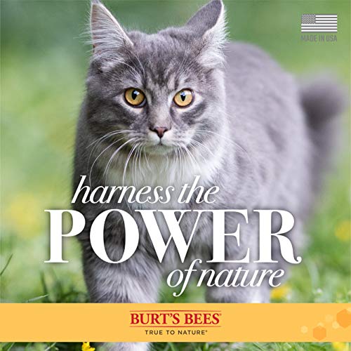 Burt's Bees for Cats Natural Dander Reducing Spray with Soothing Colloidal Oat Flour & Aloe Vera | Cruelty Free, Sulfate & Paraben Free, pH Balanced for Cats - Made in USA, 10 oz Bottle