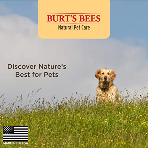 Burt's Bees for Dogs Natural Hypoallergenic Dog Shampoo with Shea Butter and Honey | Shampoo for All Dogs and Puppies with Dry or Sensitive Skin | Made in the USA | 16 Ounces