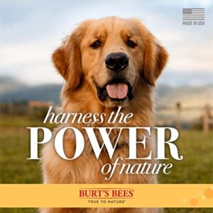 Burt's Bees for Dogs Natural Hypoallergenic Dog Shampoo with Shea Butter and Honey | Shampoo for All Dogs and Puppies with Dry or Sensitive Skin | Made in the USA | 16 Ounces