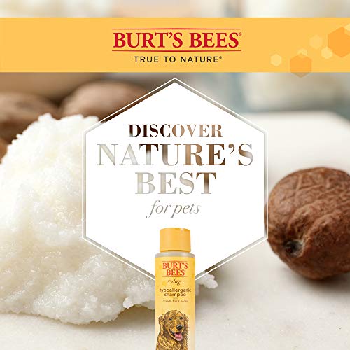 Burt's Bees for Dogs Natural Hypoallergenic Dog Shampoo with Shea Butter and Honey | Shampoo for All Dogs and Puppies with Dry or Sensitive Skin | Made in the USA | 16 Ounces