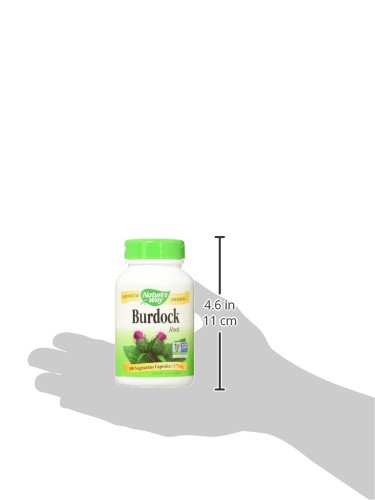 Nature's Way Burdock Root, 950 mg per serving, 100 Vegan Caps (Packaging May Vary)