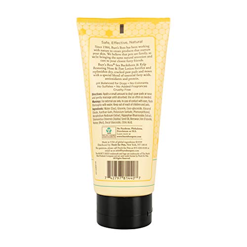 Burt's Bees for Dogs Care Plus+ Natural Sea Buckthorn & Kelp Restoring Nose & Paw Lotion | Heals & Moisturizes Dog Noses and Paws | pH Balanced for Dogs - Made in USA, 6 Oz Bottle of Lotion