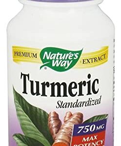 Nature's Way Premium Extract Turmeric Max Potency Standardized to 95% Curcuminoids 750 mg per serving 60 VCaps