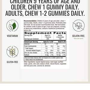 Nature's Way Zinc Gummies, Mixed Berry Flavored (200 ct.)