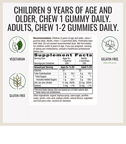 Nature's Way Zinc Gummies, Mixed Berry Flavored (200 ct.)