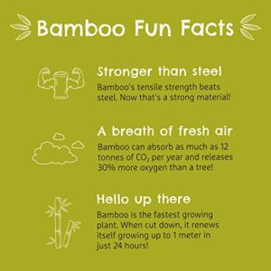 Munchkin® Bambou™ 5oz Open Training Cup for Babies and Toddlers, Non-Toxic Bamboo and Food-Grade Silicone